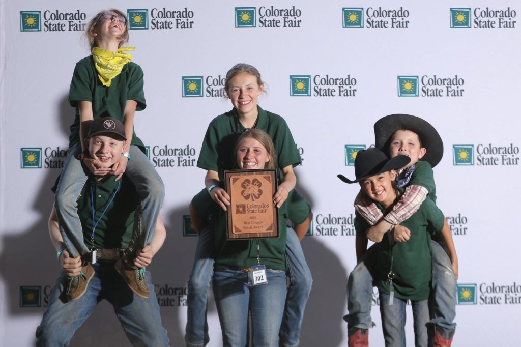 Horse Show | Colorado State Fair & Rodeo