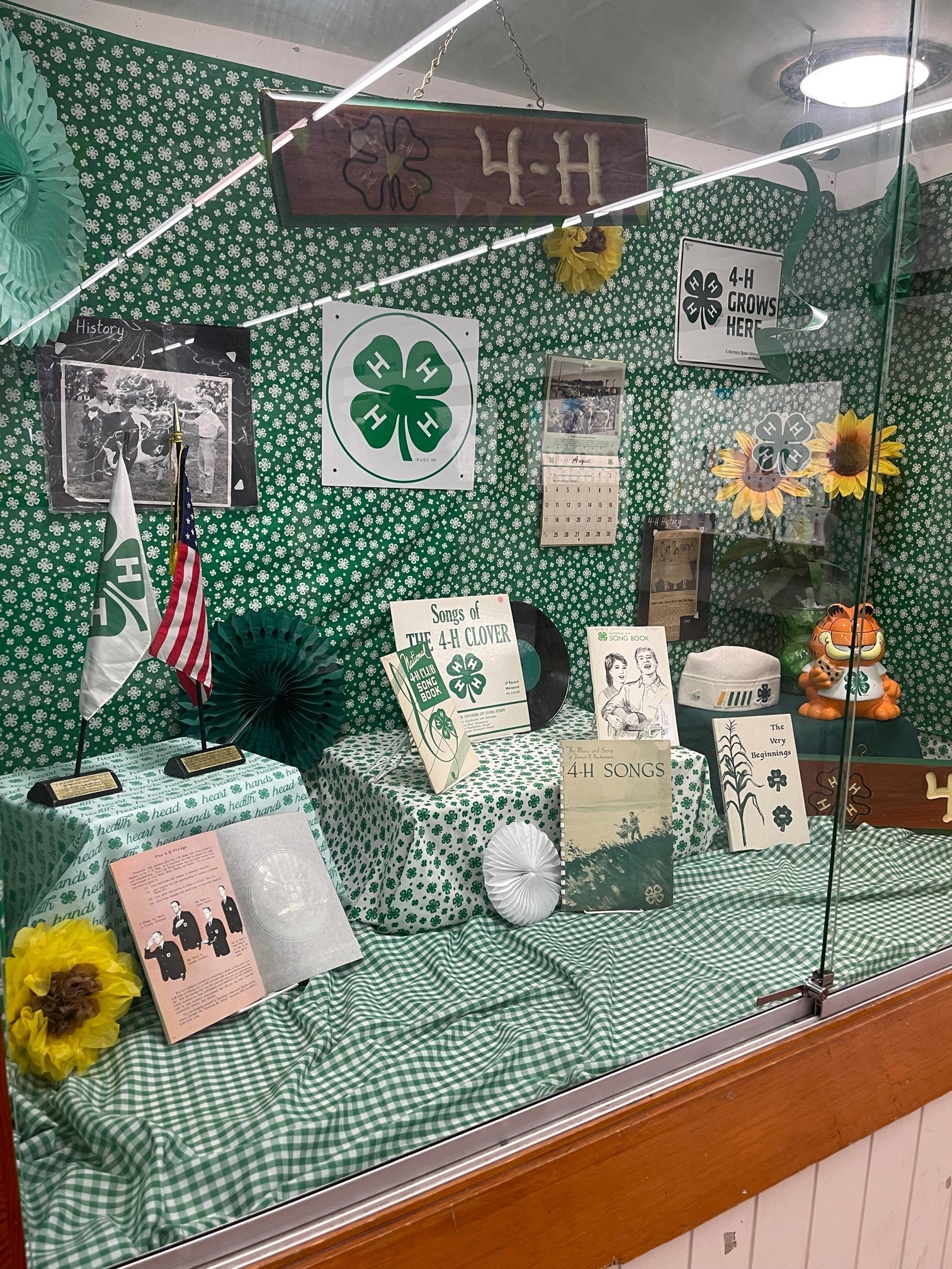4-H Projects Shine at the Colorado State Fair