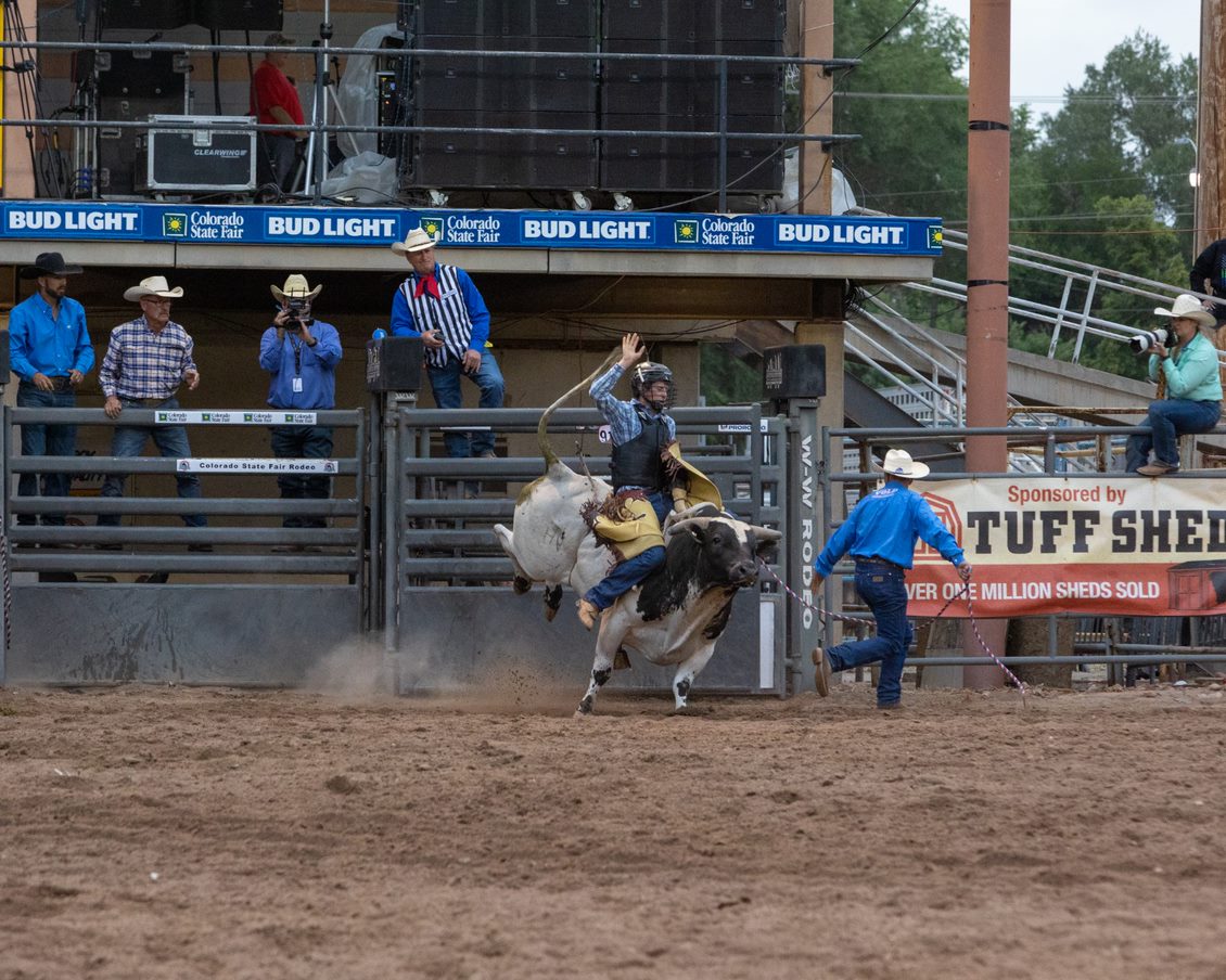 The Thrilling World of Rodeo: An Exploration of its History, Events ...