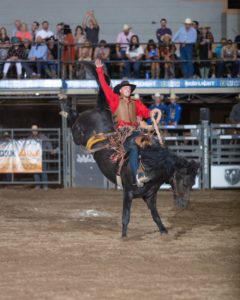 Rodeo | Colorado State Fair & Rodeo