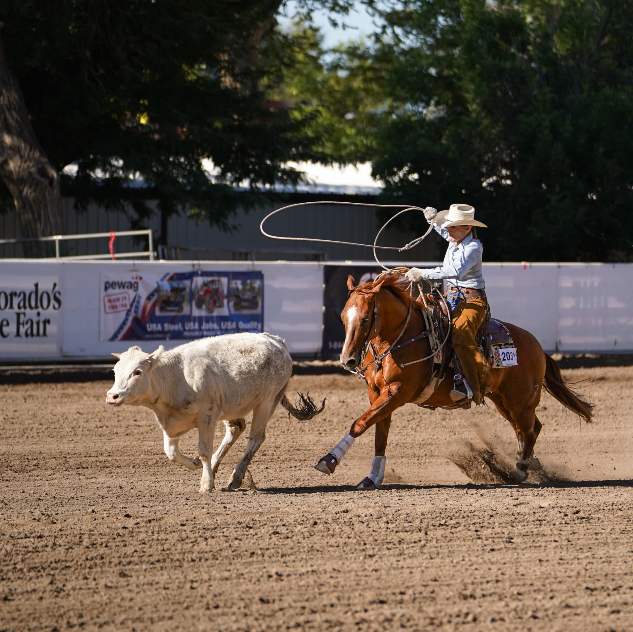Horse Show | Colorado State Fair & Rodeo