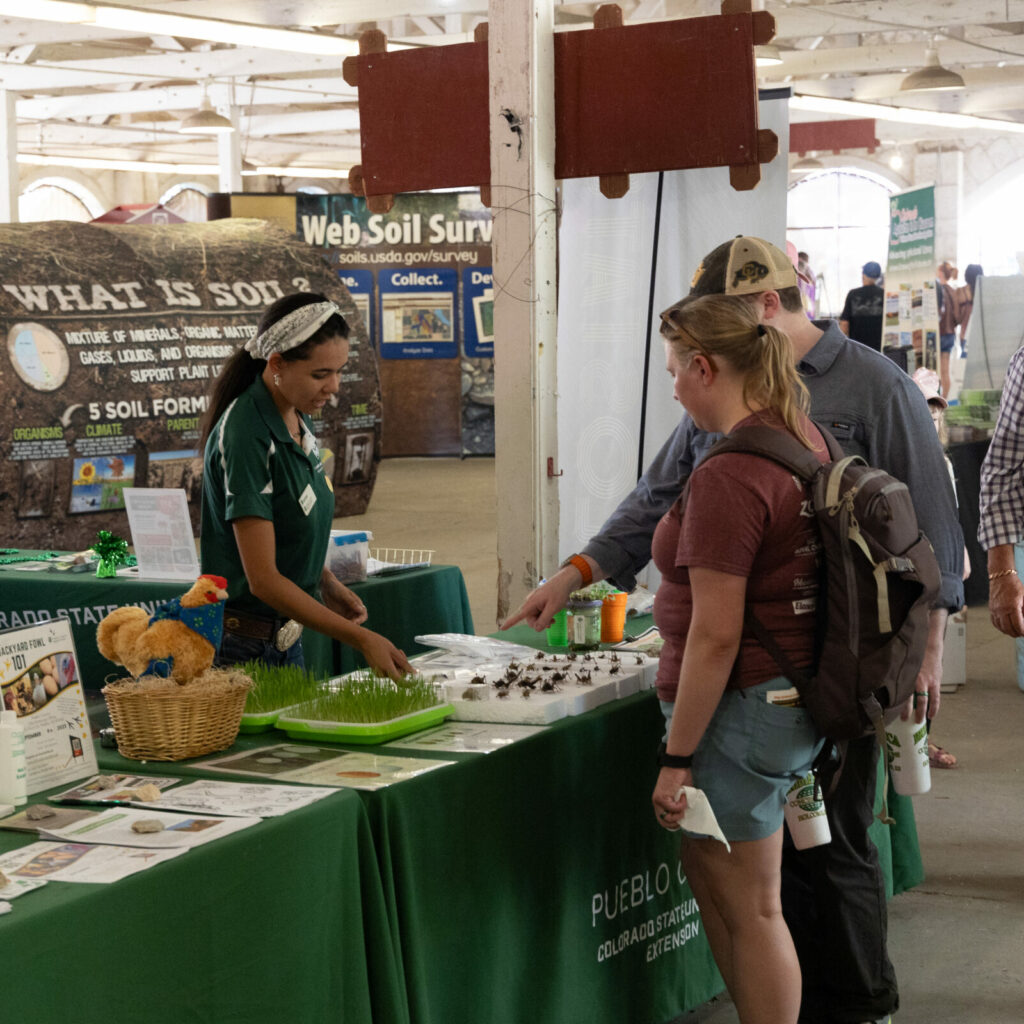 Free Attractions | Colorado State Fair & Rodeo