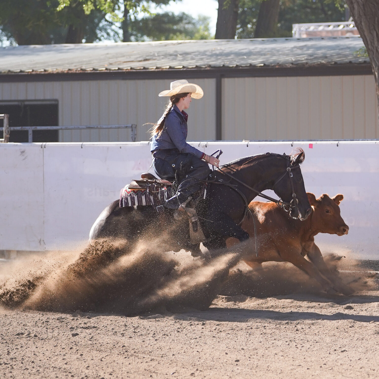 Horse Show | Colorado State Fair & Rodeo