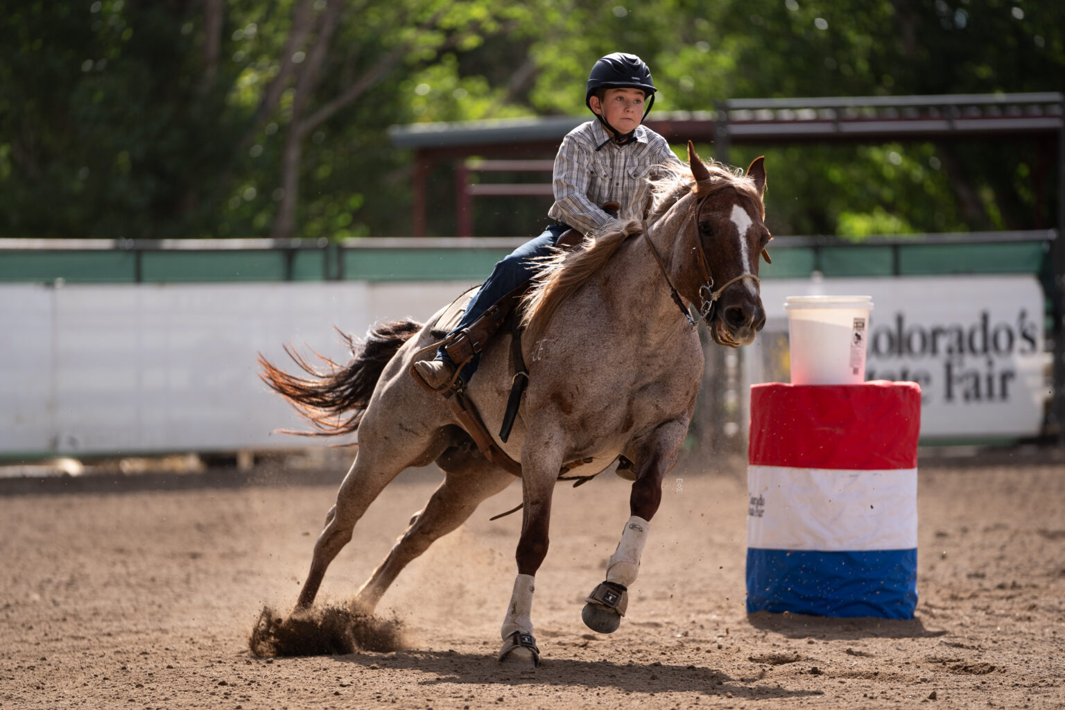 Colorado State Fair 4-H State Championship Horse Show | Colorado State ...
