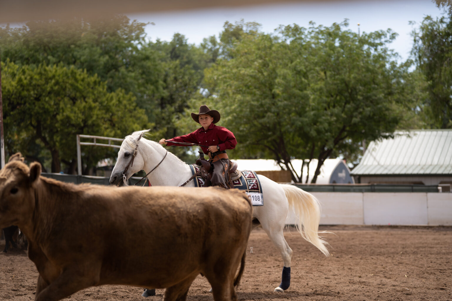 Colorado State Fair 4-H State Championship Horse Show | Colorado State ...